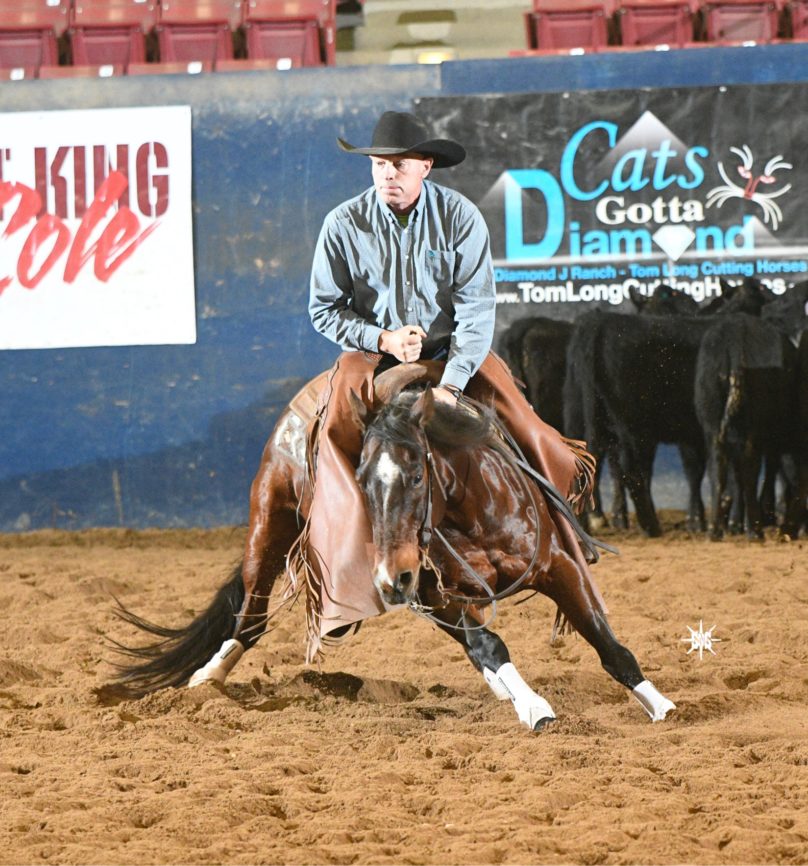 Horse Training - Royal B Ranches