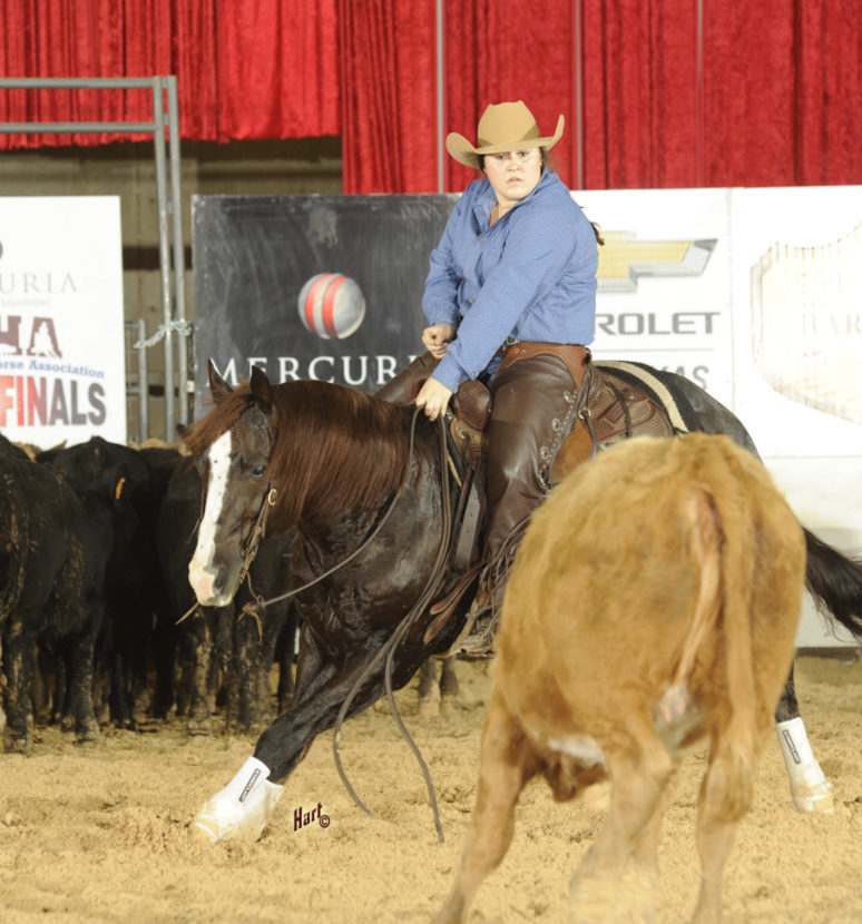 Horse Training - Royal B Ranches